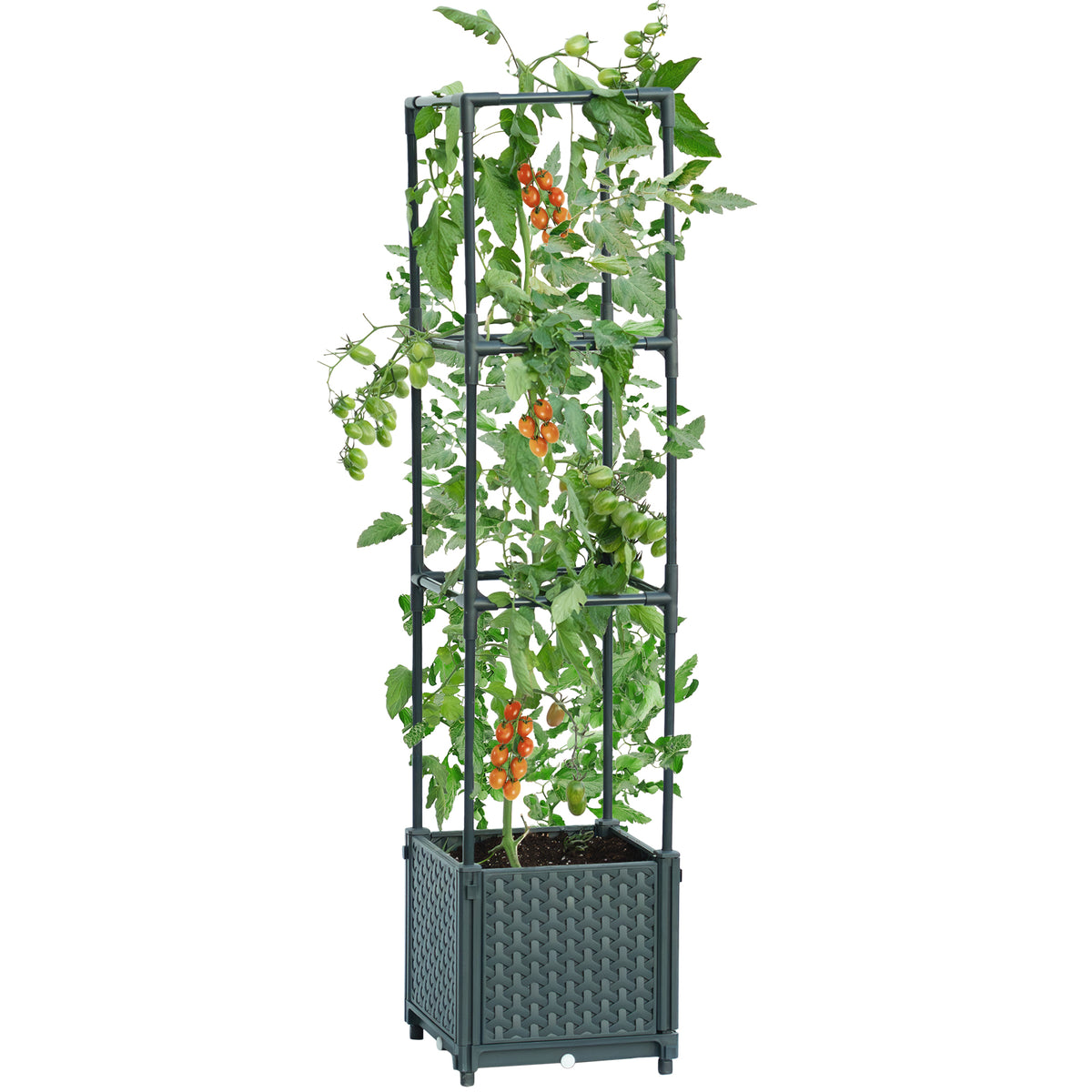 LINEX Raised Garden Bed Planter Box with Trellis, Tomato Planters for ...